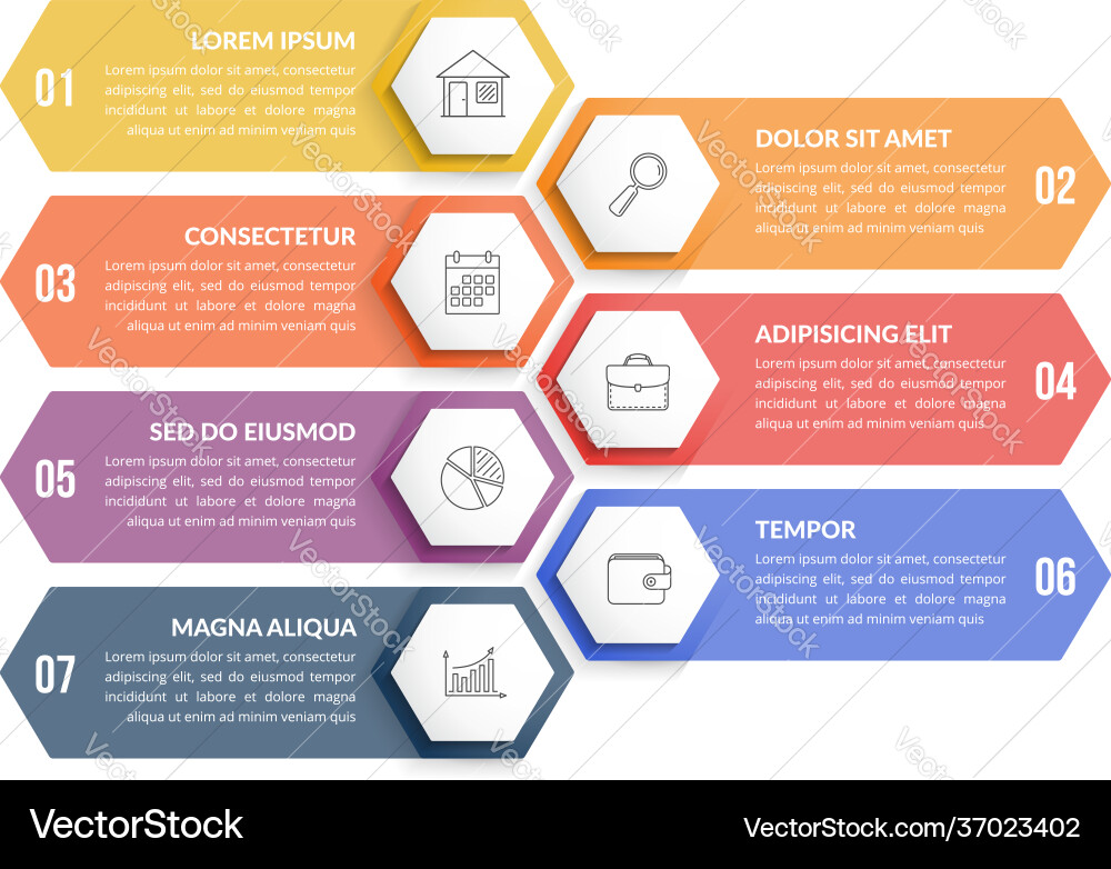 7 steps infographics Royalty Free Vector Image