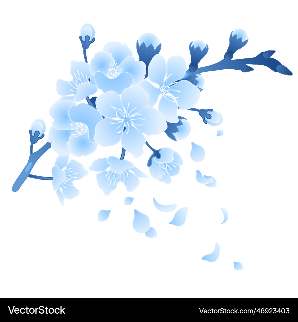 Graphic sakura flowers Royalty Free Vector Image