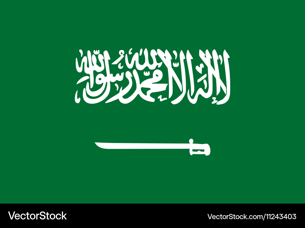Saudi Arabian Flag Royalty Free Vector Image - VectorStock