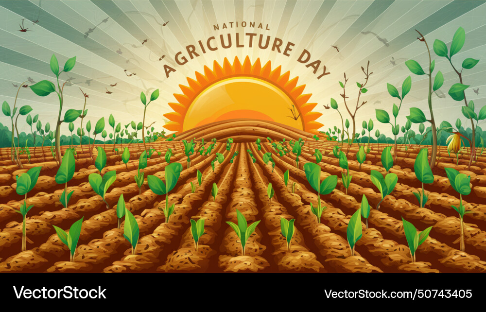 Agriculture farmer day design national Royalty Free Vector