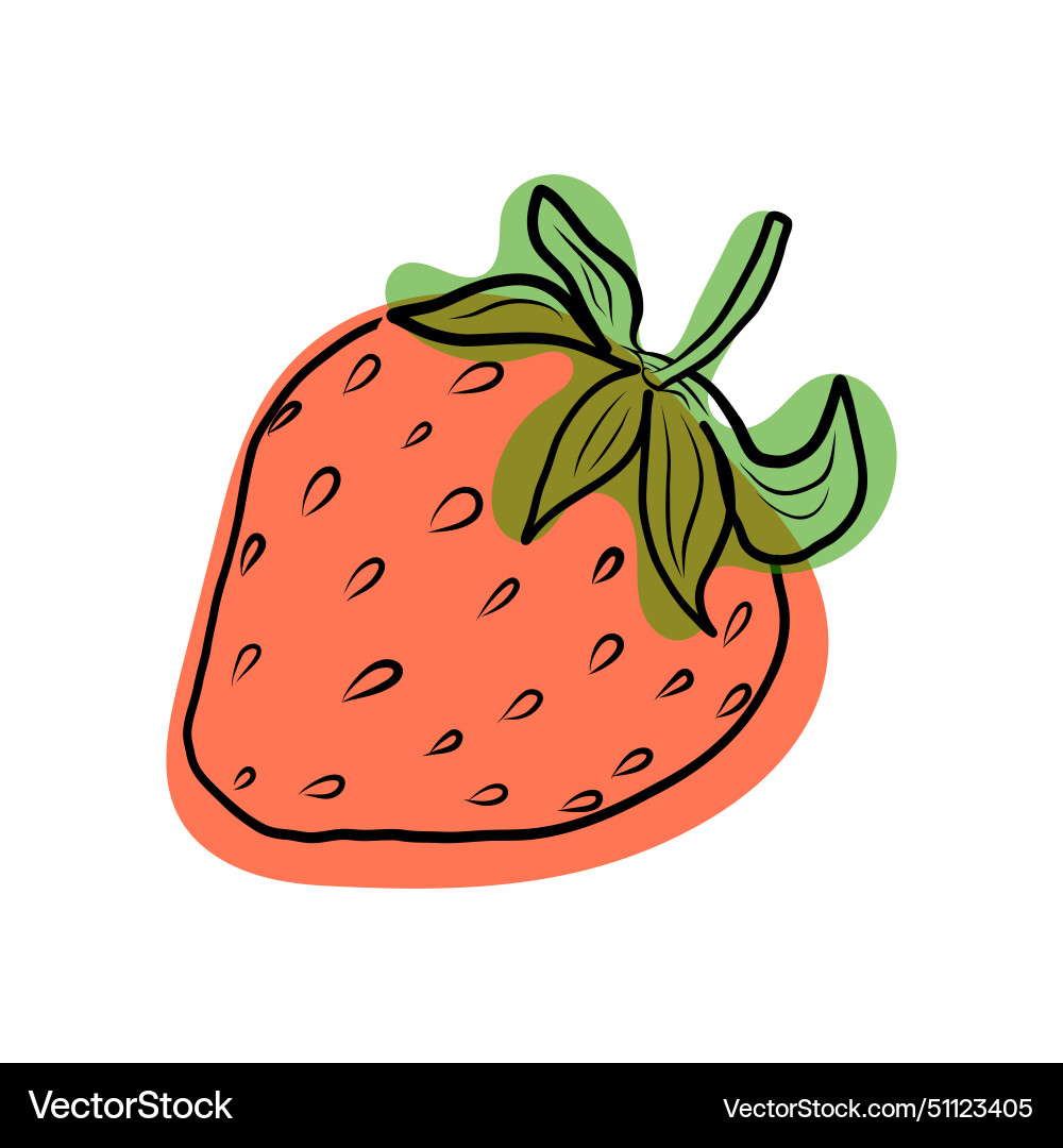Doodle red strawberry on white background Vector Image