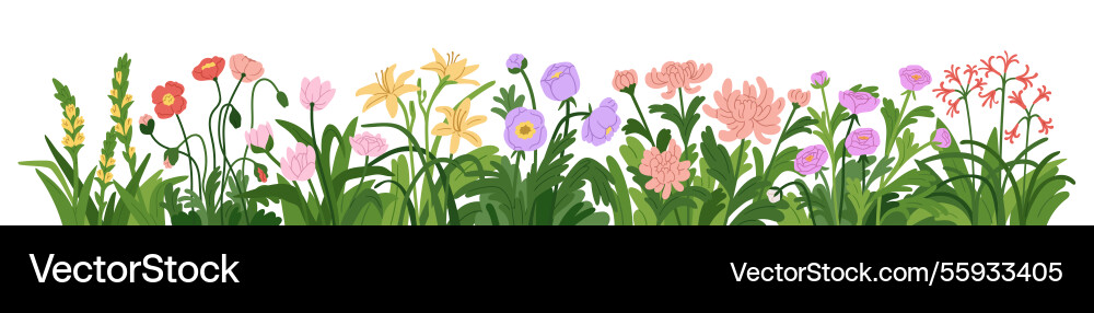 Floral Spring Blossom Border Royalty Free Vector Image