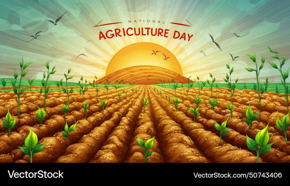 Agriculture farmer day design national Royalty Free Vector