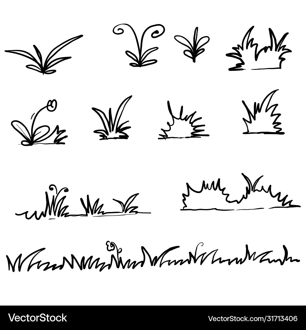 Hand drawn doodle grass Royalty Free Vector Image