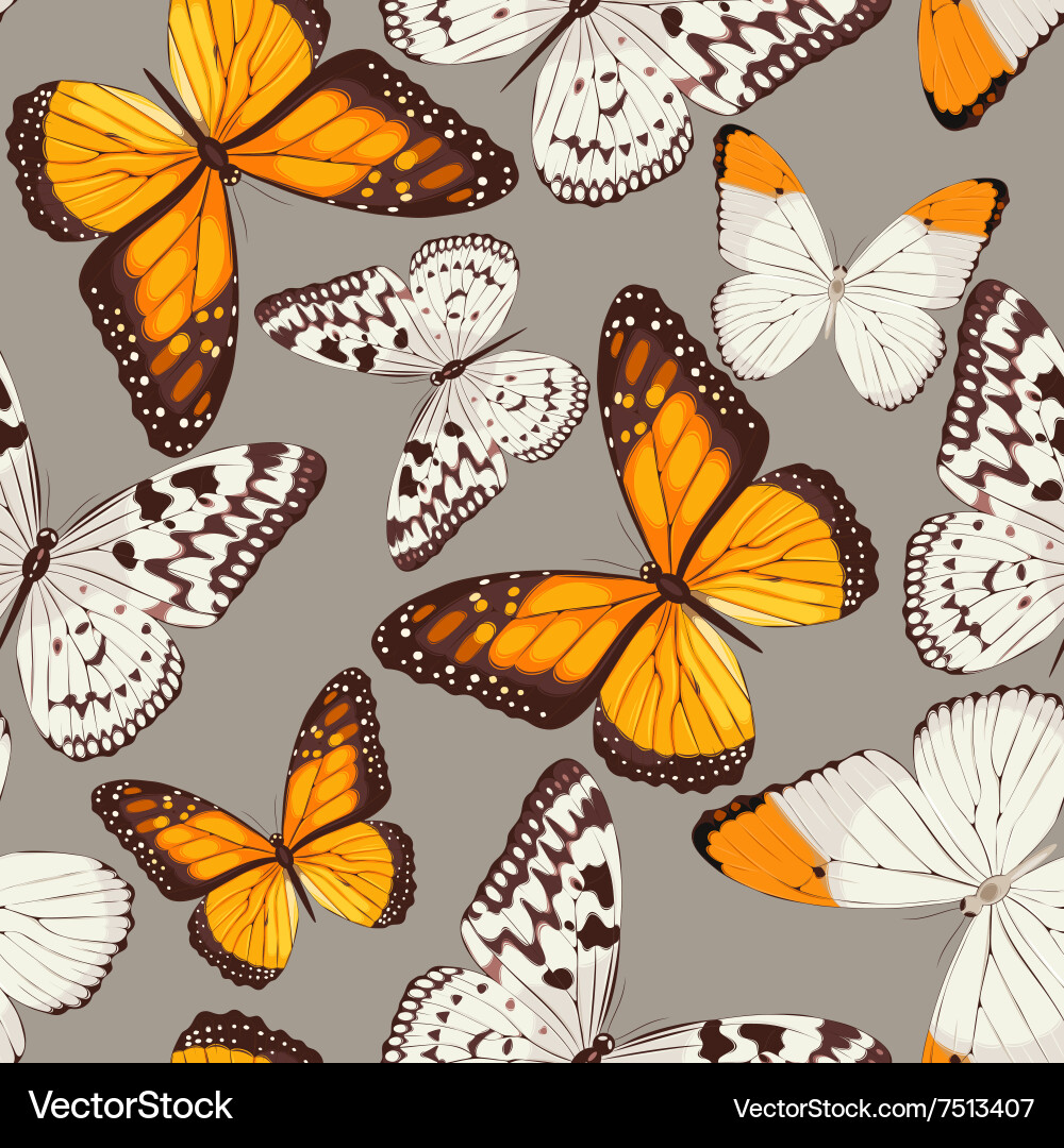 Colorful Butterfly Seamless Pattern Royalty Free Vector