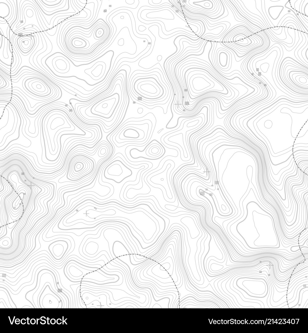 Seamless pattern topographic map background Vector Image