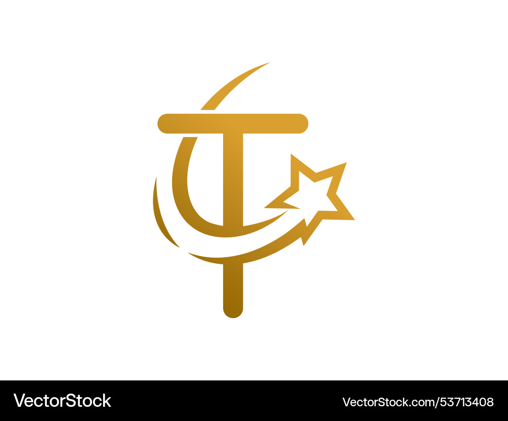 Letter t star logo or symbol template design Vector Image