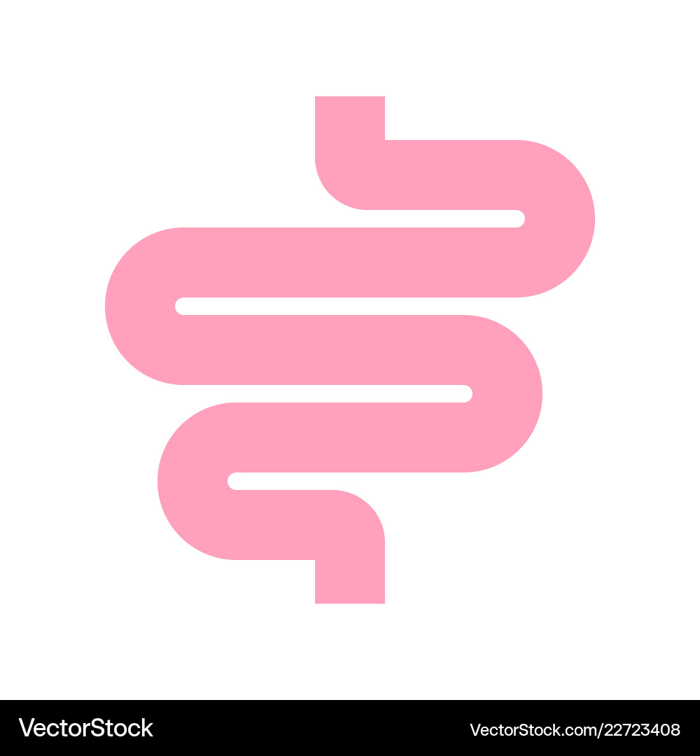 Small intestine organ icon set Royalty Free Vector Image