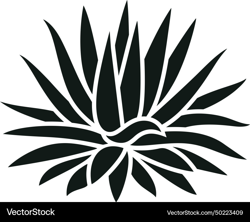 Agave Royalty Free Vector Image - VectorStock