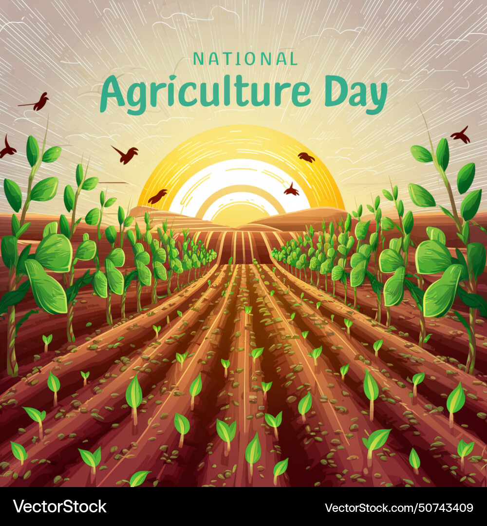 Agriculture farmer day design national Royalty Free Vector