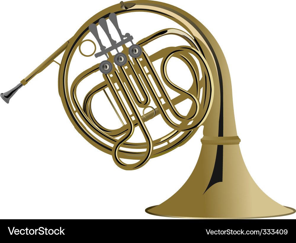 French horn Royalty Free Vector Image - VectorStock