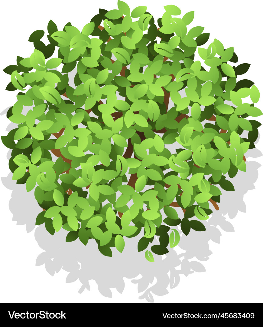 Landscape map element green plant top view Vector Image