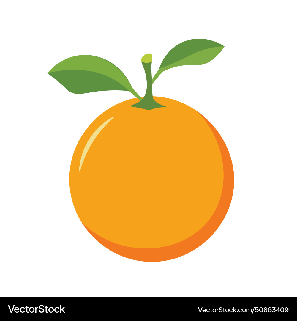 Simple orange fruit clip art whole Royalty Free Vector Image