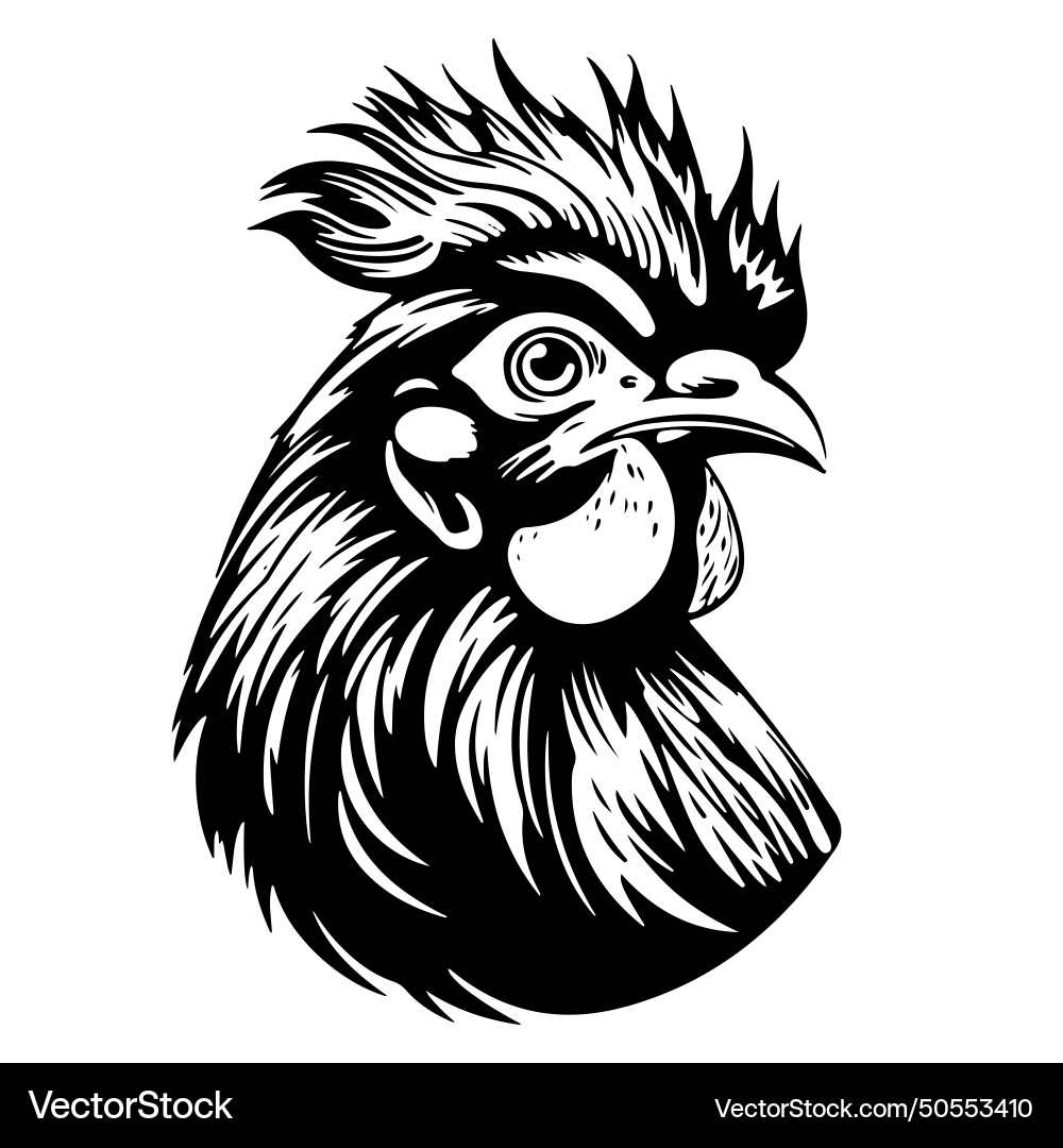 Hand drawn rooster head isolated Royalty Free Vector Image