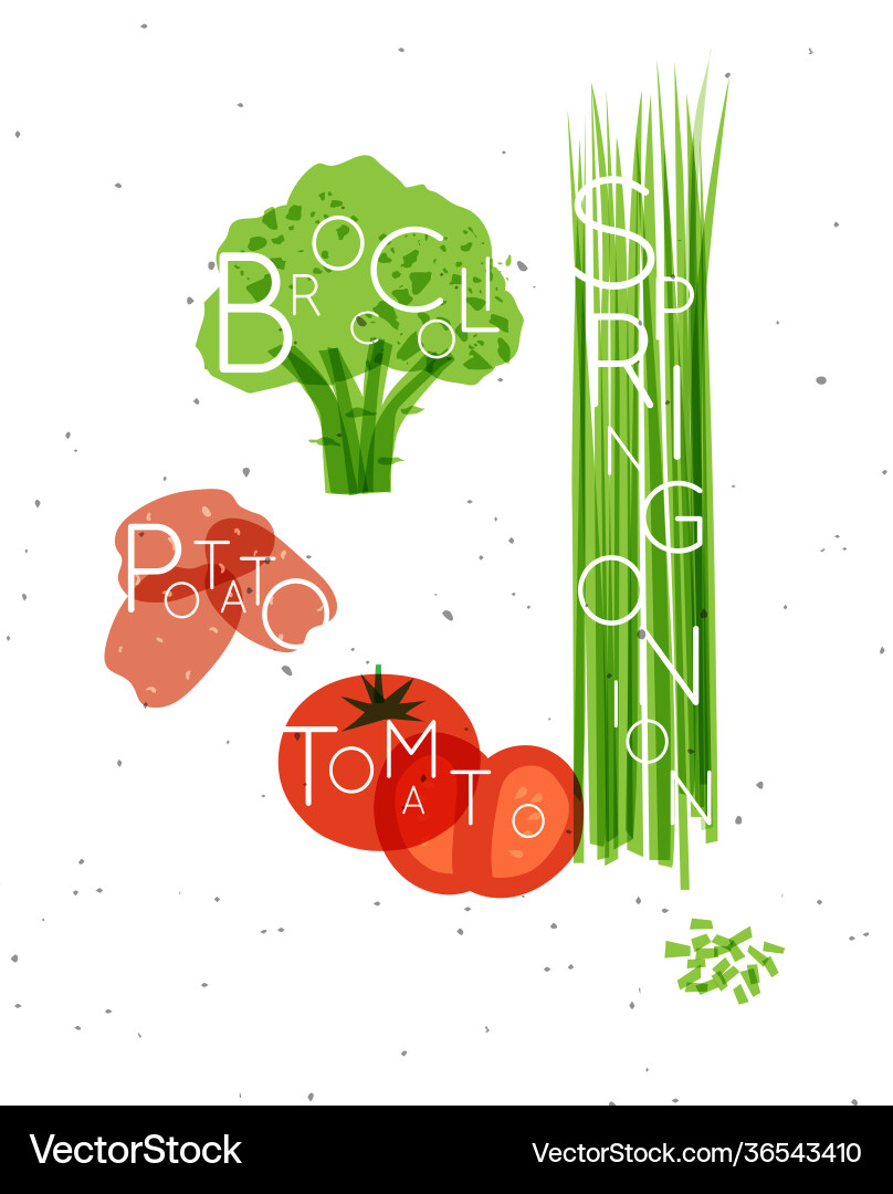 Vegetable set broccoli potato tomato spring Vector Image