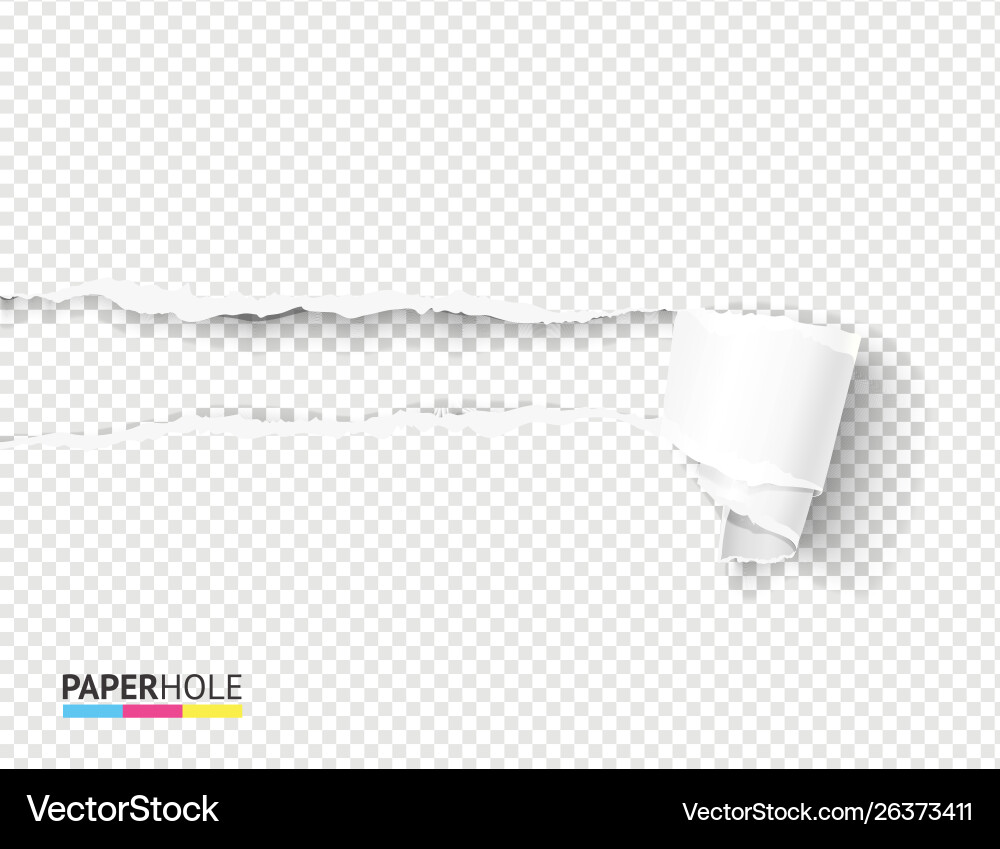 Ripped Paper Scroll with Hole Royalty Free Vector Image