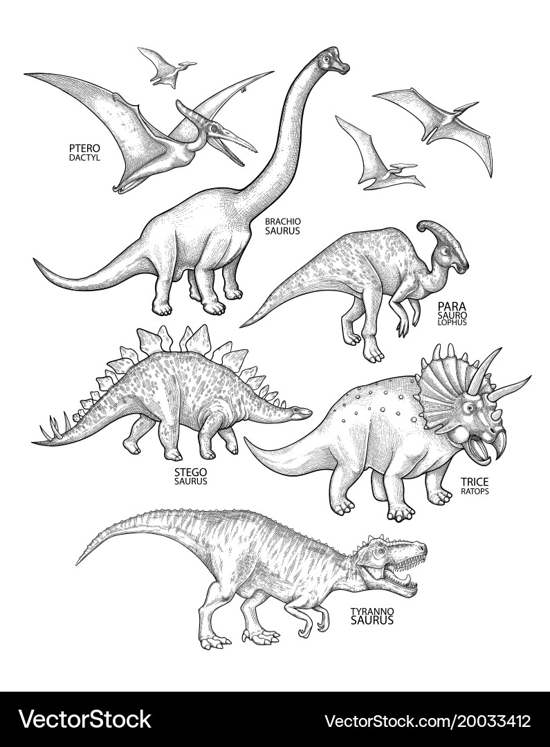 Realistic graphic dinosaurs Royalty Free Vector Image