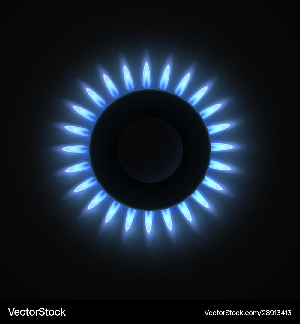 Burning stove gas burner realistic Royalty Free Vector Image