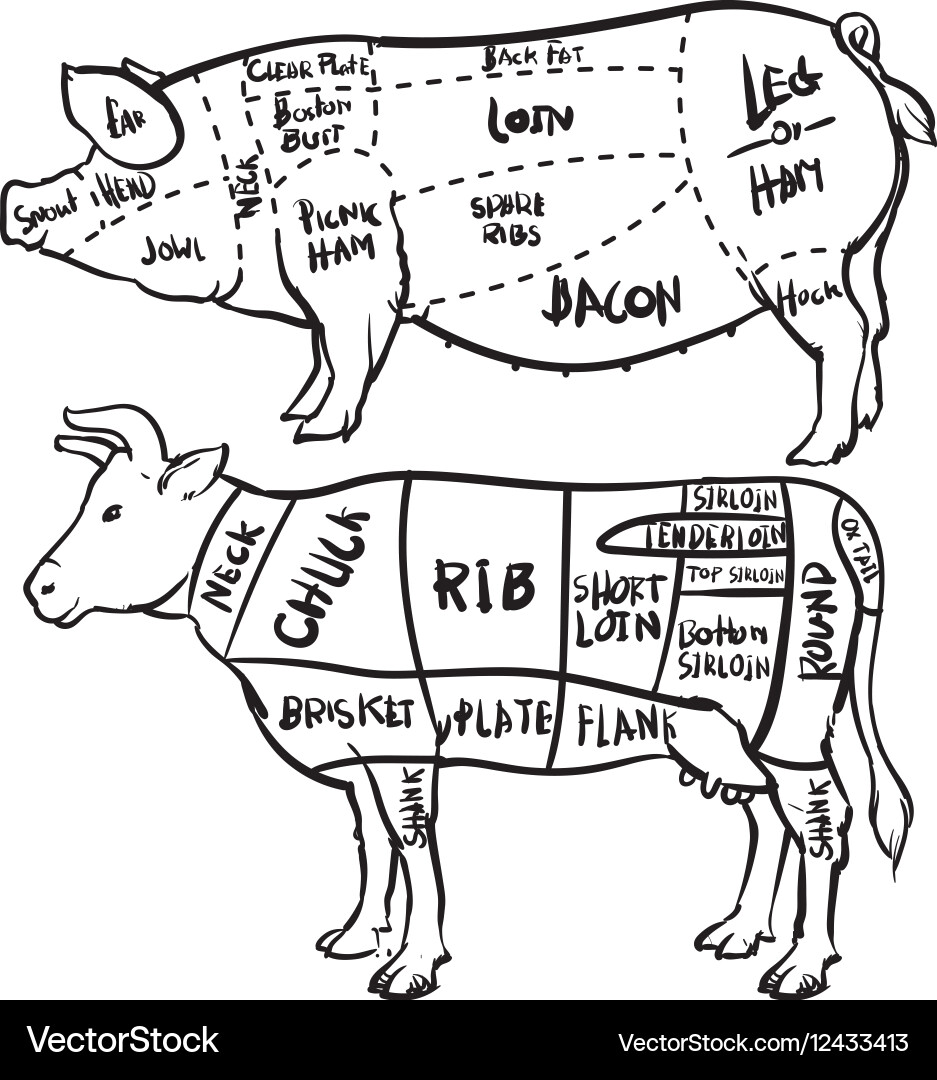 Pork and beef cuts diagram butchery set Royalty Free Vector