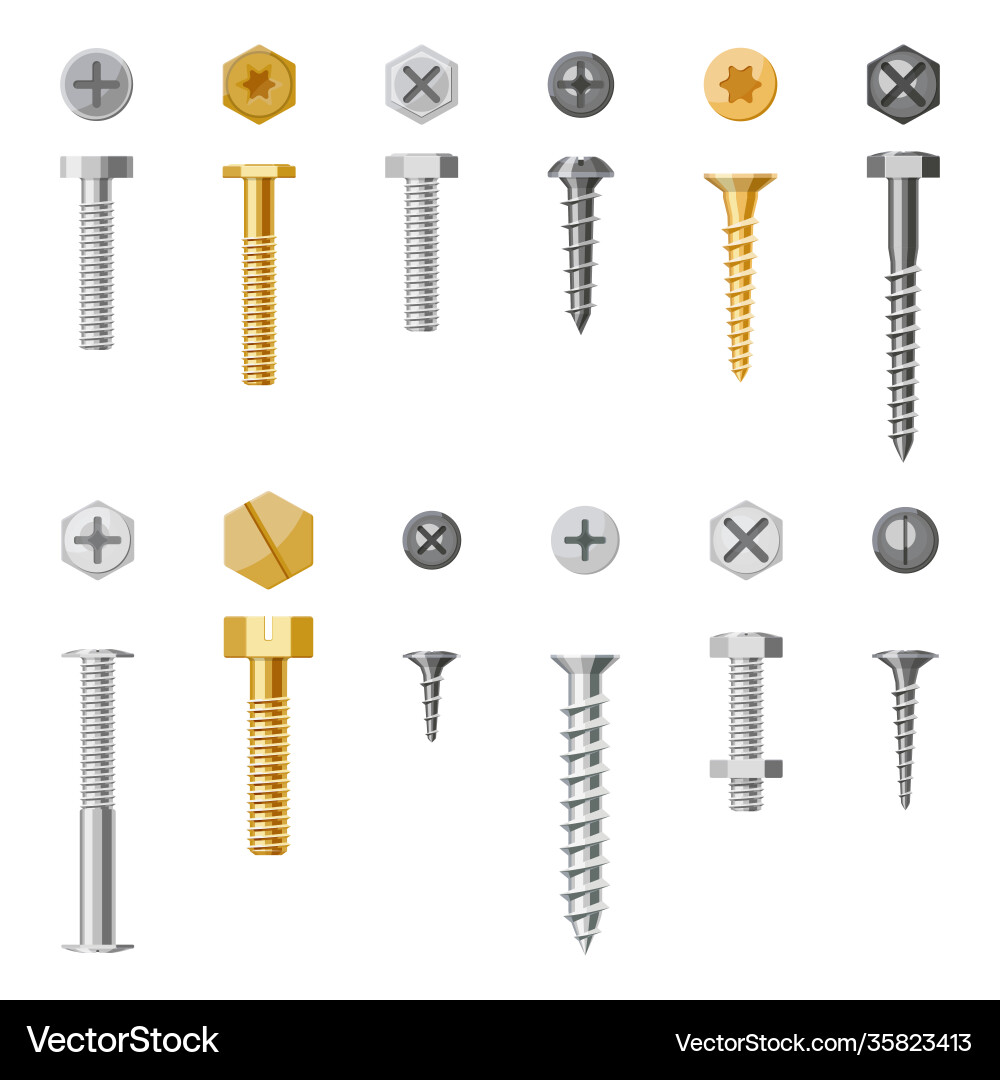 Set isolated screw and nails bolt Royalty Free Vector Image