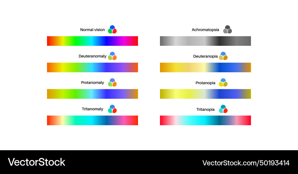 Color blindness poster Royalty Free Vector Image