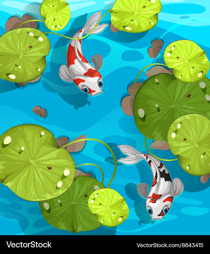 Two fish swimming in the pond Royalty Free Vector Image