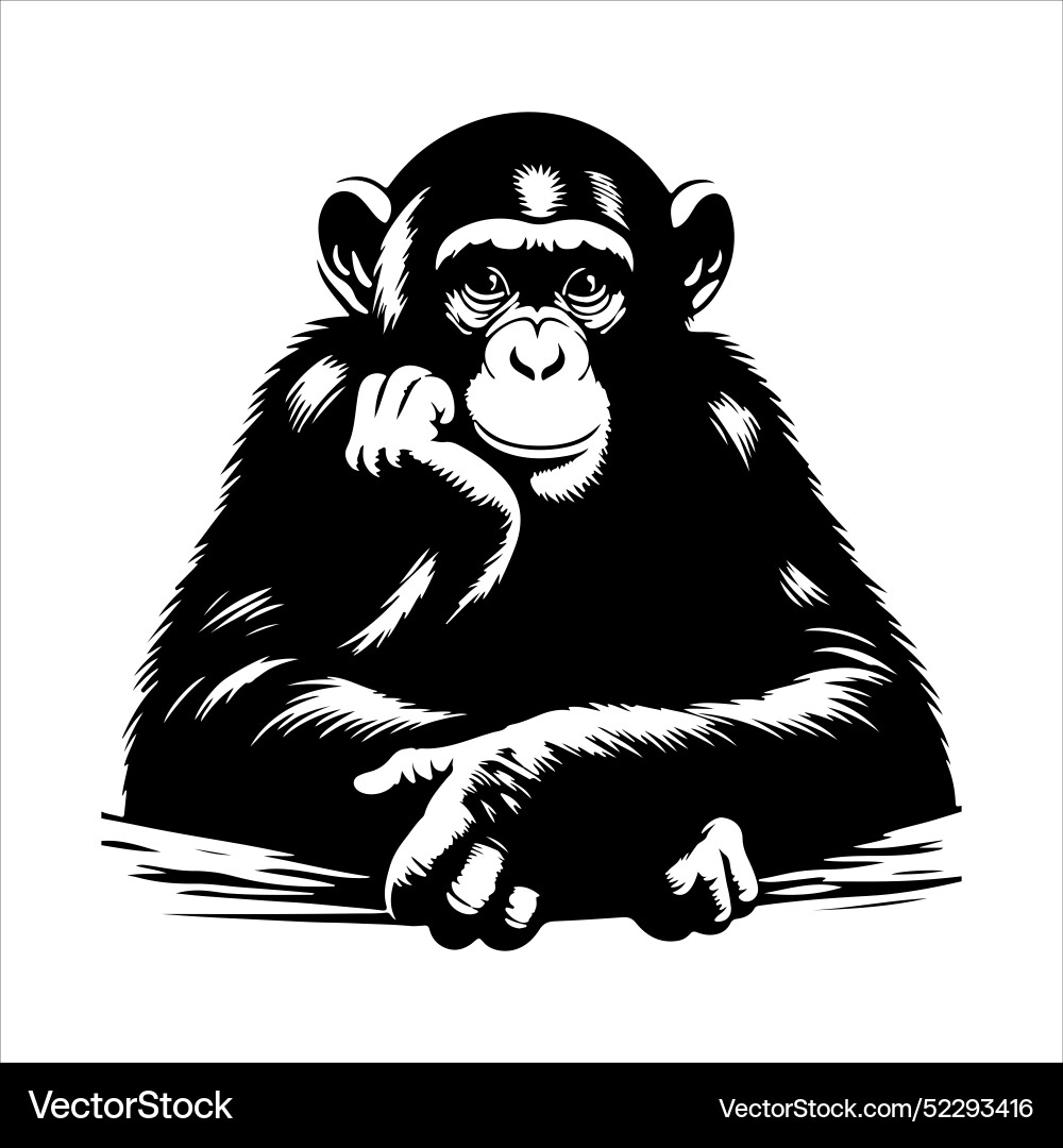 Learn about ongoing chimpanzee conservation Vector Image