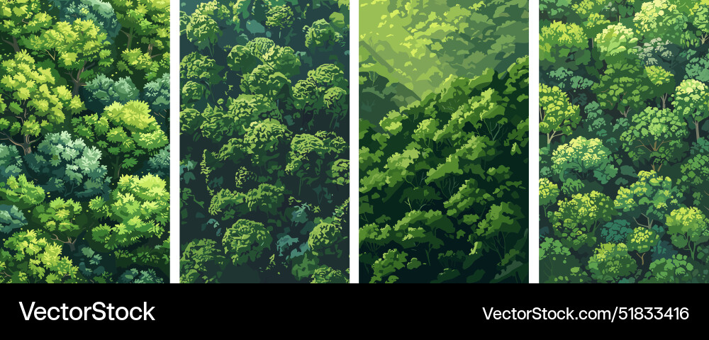 Rain forest top view backgrounds green trees Vector Image