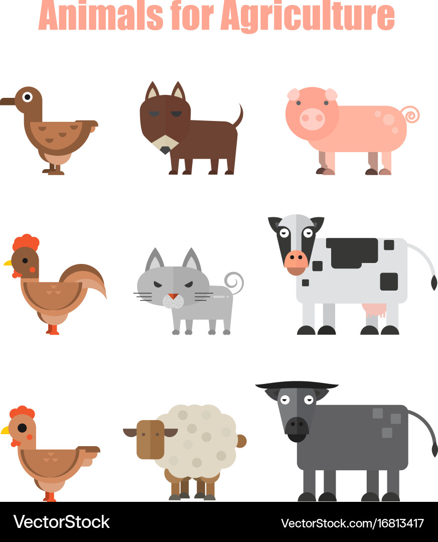 Animals flat Royalty Free Vector Image - VectorStock