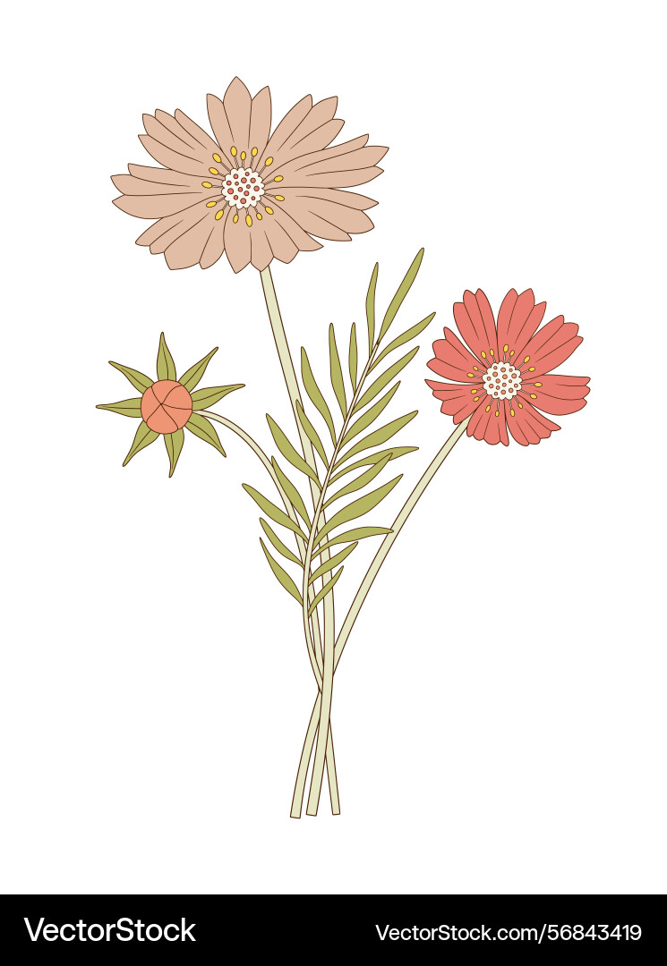 Bright wildflower bouquet hand-drawn Royalty Free Vector