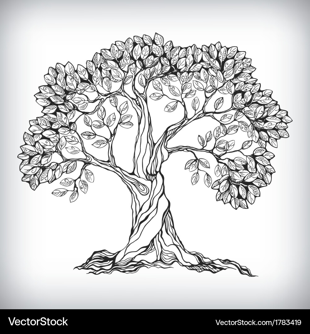 Hand drawn tree symbol Royalty Free Vector Image