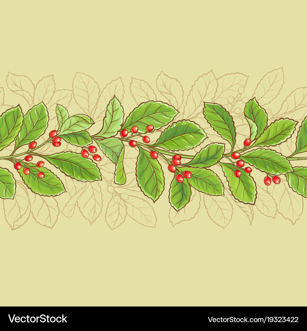 Yerba mate pattern Royalty Free Vector Image - VectorStock