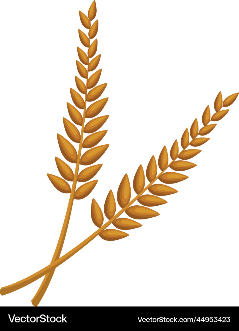 Golden Barley Spikes Icon Royalty Free Vector Image