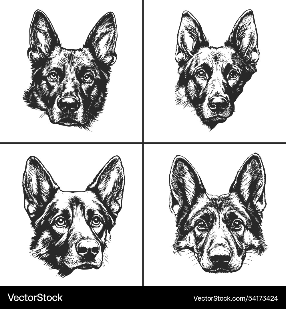 German shepherd svg dog bundle file Royalty Free Vector