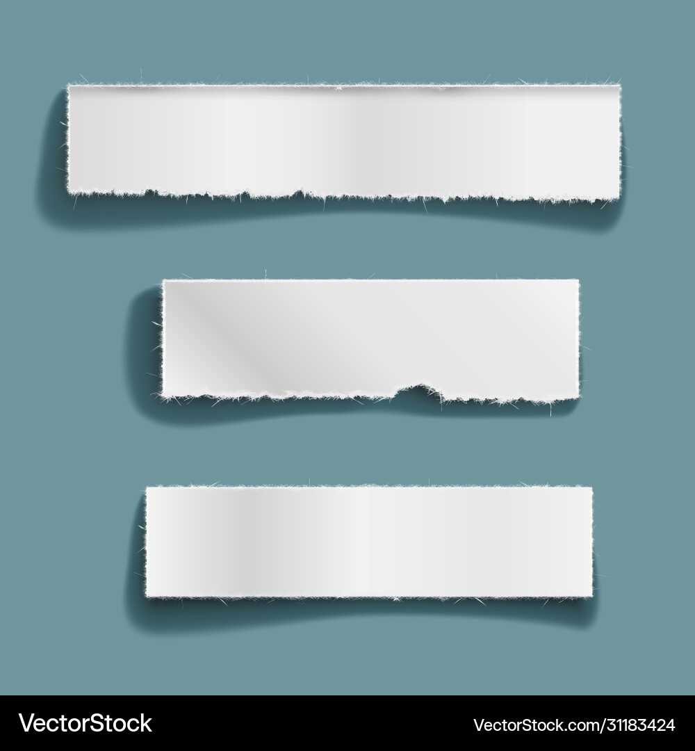 White ripped paper pieces with shadow empty Vector Image