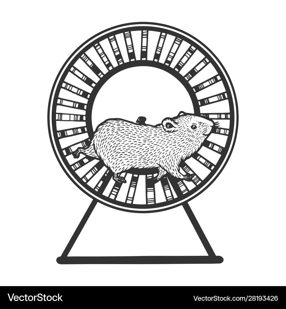 Hamster run in wheel sketch engraving Royalty Free Vector
