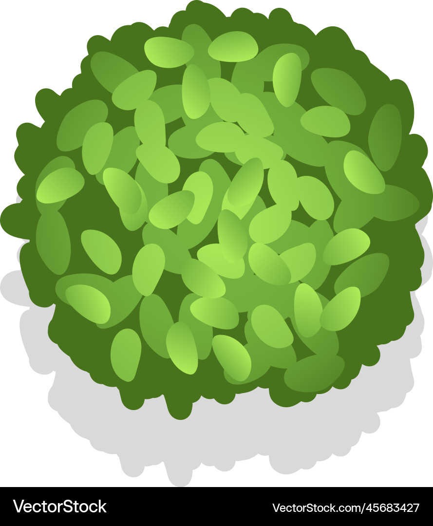 Landscape nature element green bush top view Vector Image