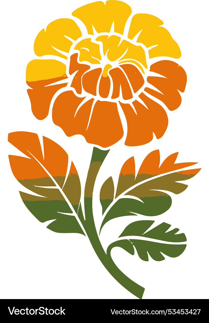 Marigold flower art Royalty Free Vector Image - VectorStock