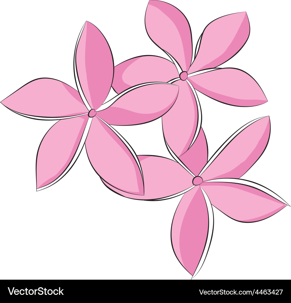 Pink flowers Royalty Free Vector Image - VectorStock