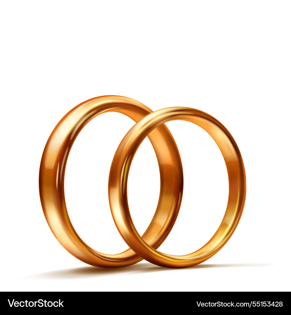 Two gold wedding rings Royalty Free Vector Image