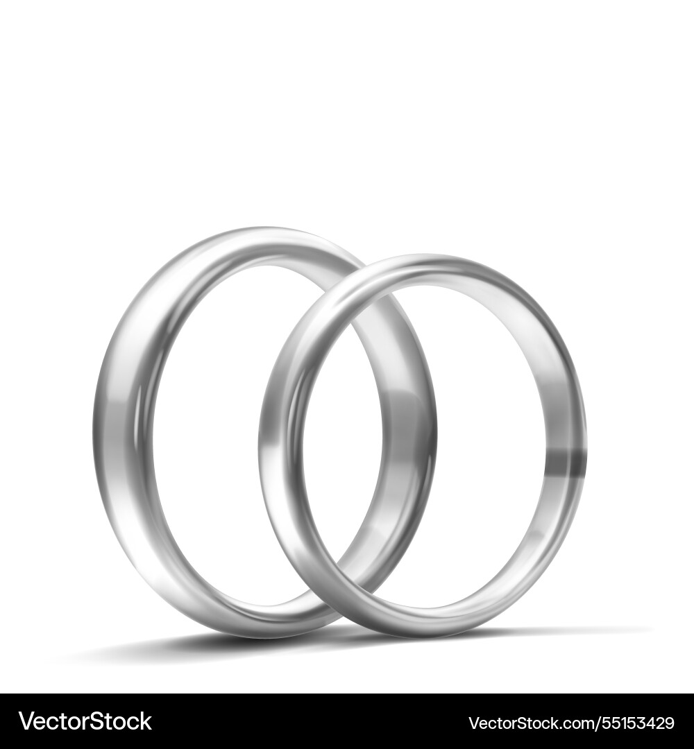 Two silver wedding rings Royalty Free Vector Image