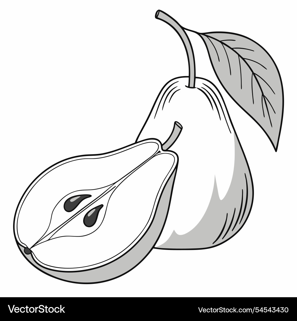 Monochromatic pear - minimalist fruit art black Vector Image