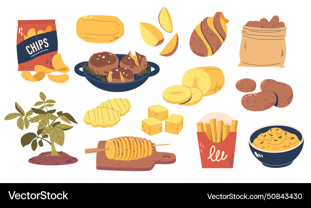 Potato meals and snacks collection range Vector Image