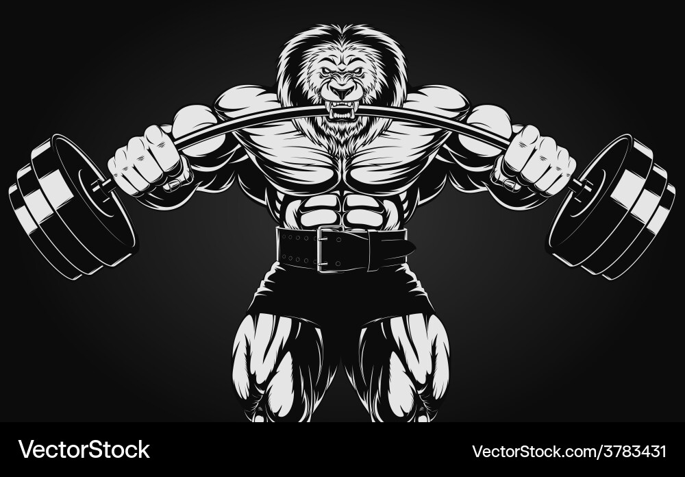 Muscular Lion Gym Vector Images (over 110)