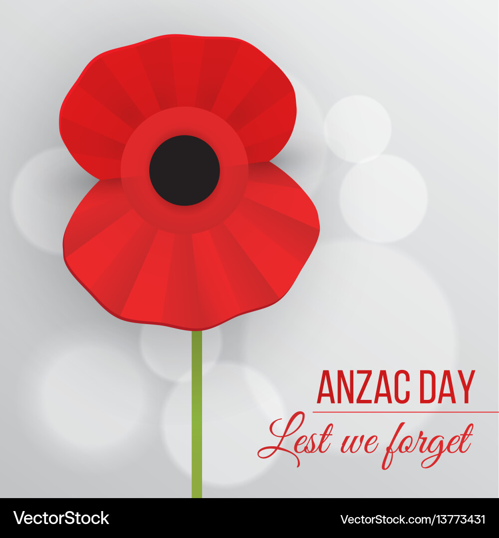 Anzac Poppy Remembrance Royalty Free Vector Image