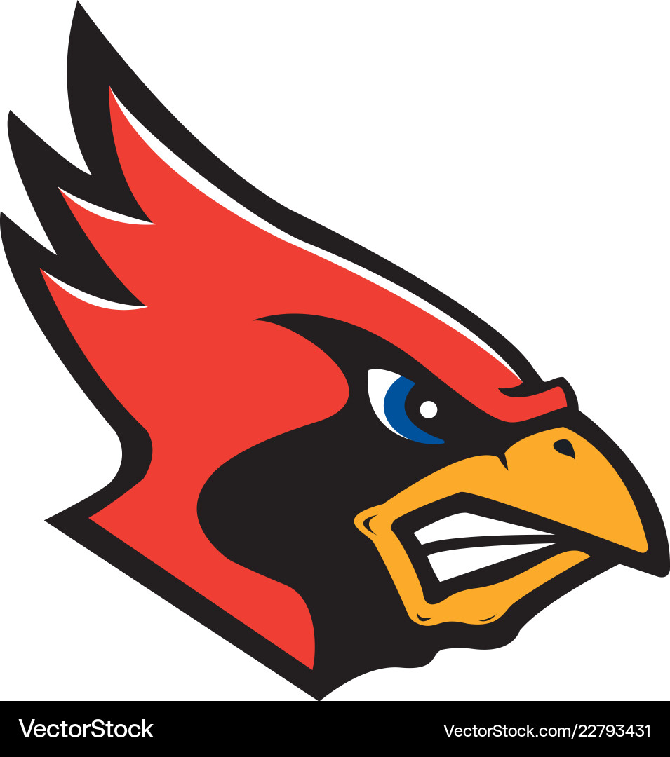 Cardinal head logo mascot Royalty Free Vector Image
