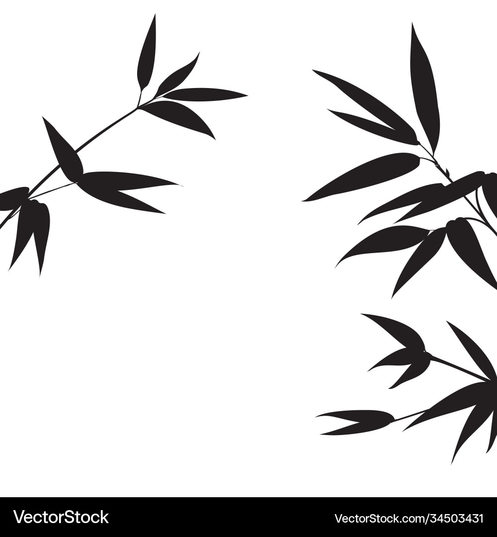 Decorative bamboo branches isolated on white Vector Image