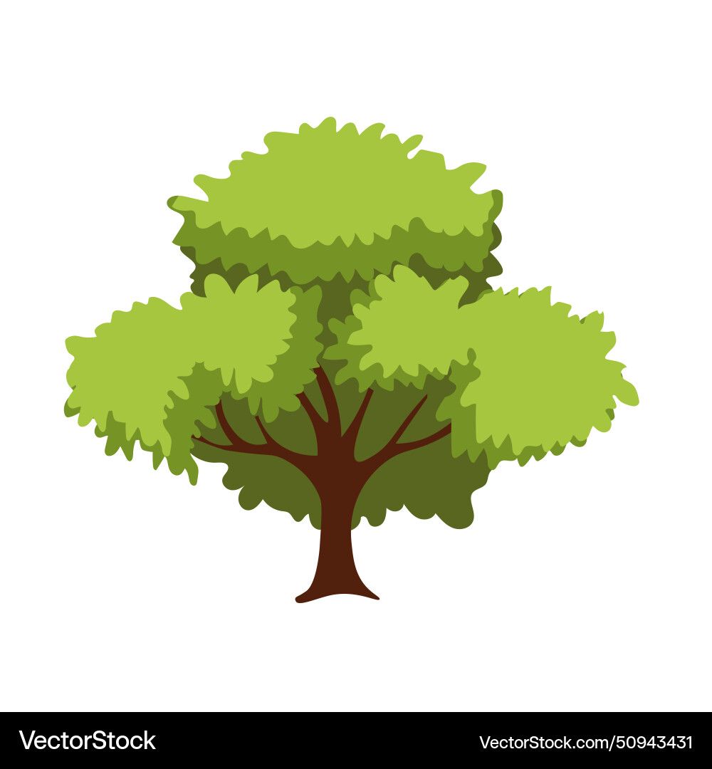Forest or park tree in cartoon Royalty Free Vector Image