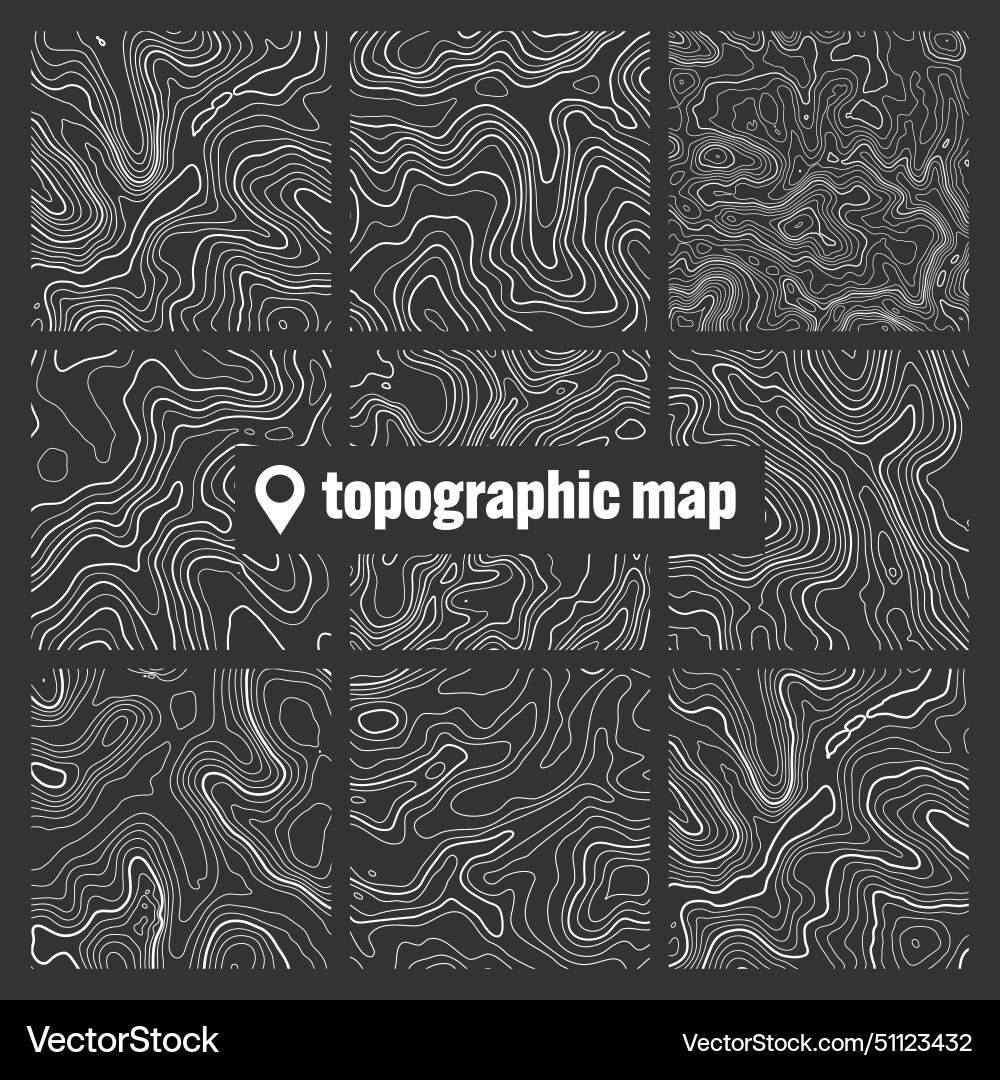 Topographic map with contour lines geographic Vector Image