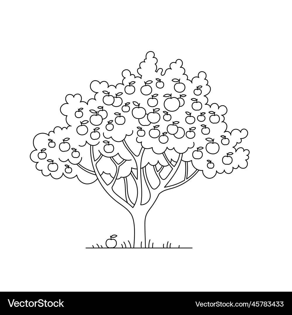 Apple Orchard Tree Drawing